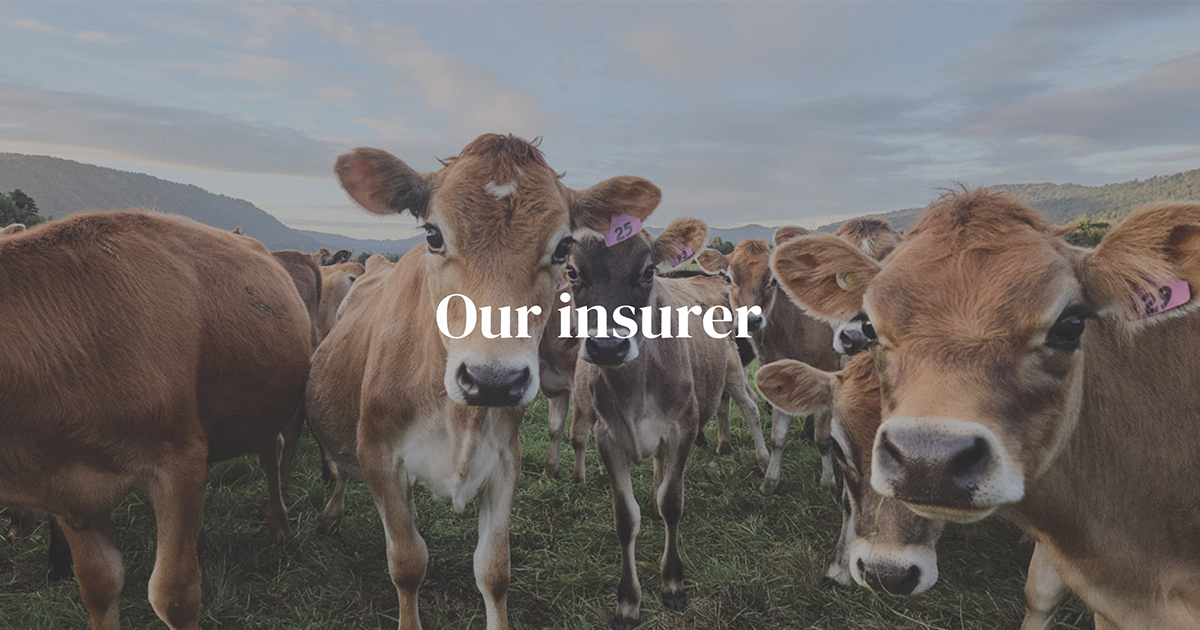 Our Insurer NZI | Ag Guard NZ Agricultural Insurance